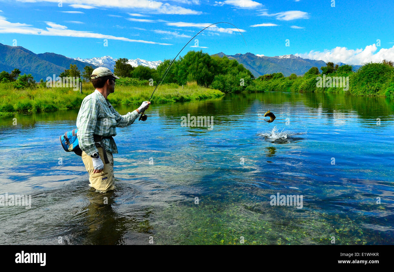 South Island Spring Creek New Zealand Stock Photo - Alamy