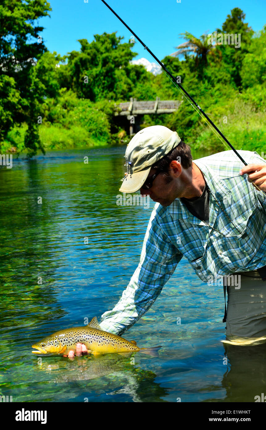 South Island Spring Creek New Zealand Stock Photo - Alamy