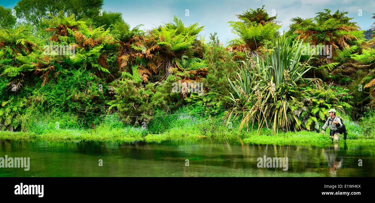 Wilson's Spring Creek New Zealand Stock Photo - Alamy