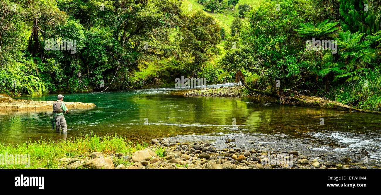 Awakino River North Island New Zealand Stock Photo - Alamy