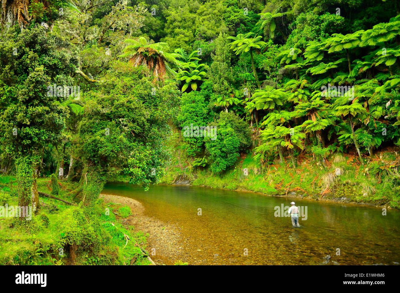 David rivers awakino hi-res stock photography and images - Alamy