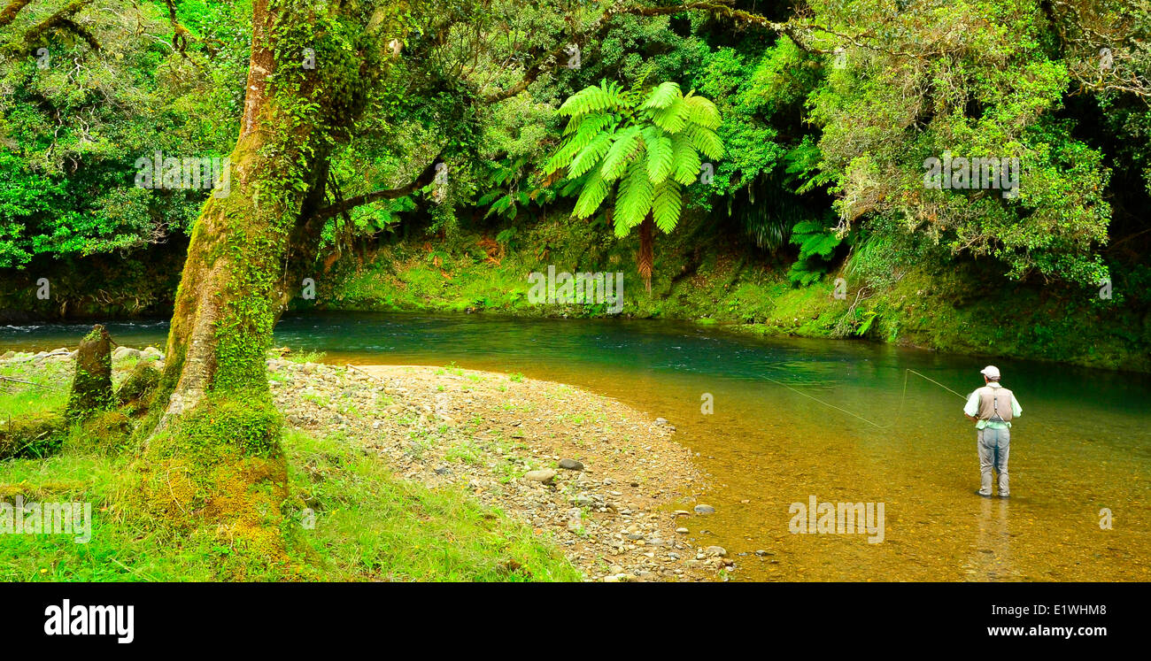 Awakino River North Island New Zealand Trout Fising Stock Photo - Alamy