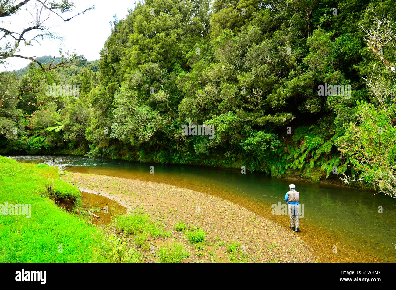 Awakino River North Island New Zealand Trout Fising Stock Photo - Alamy