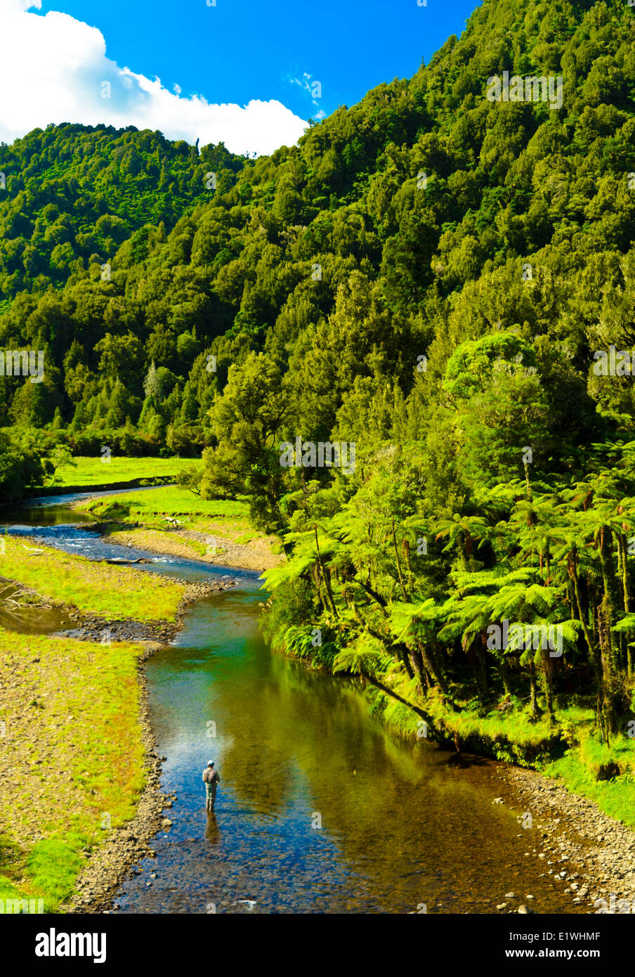 Awakino River North Island New Zealand Trout Fising Stock Photo - Alamy