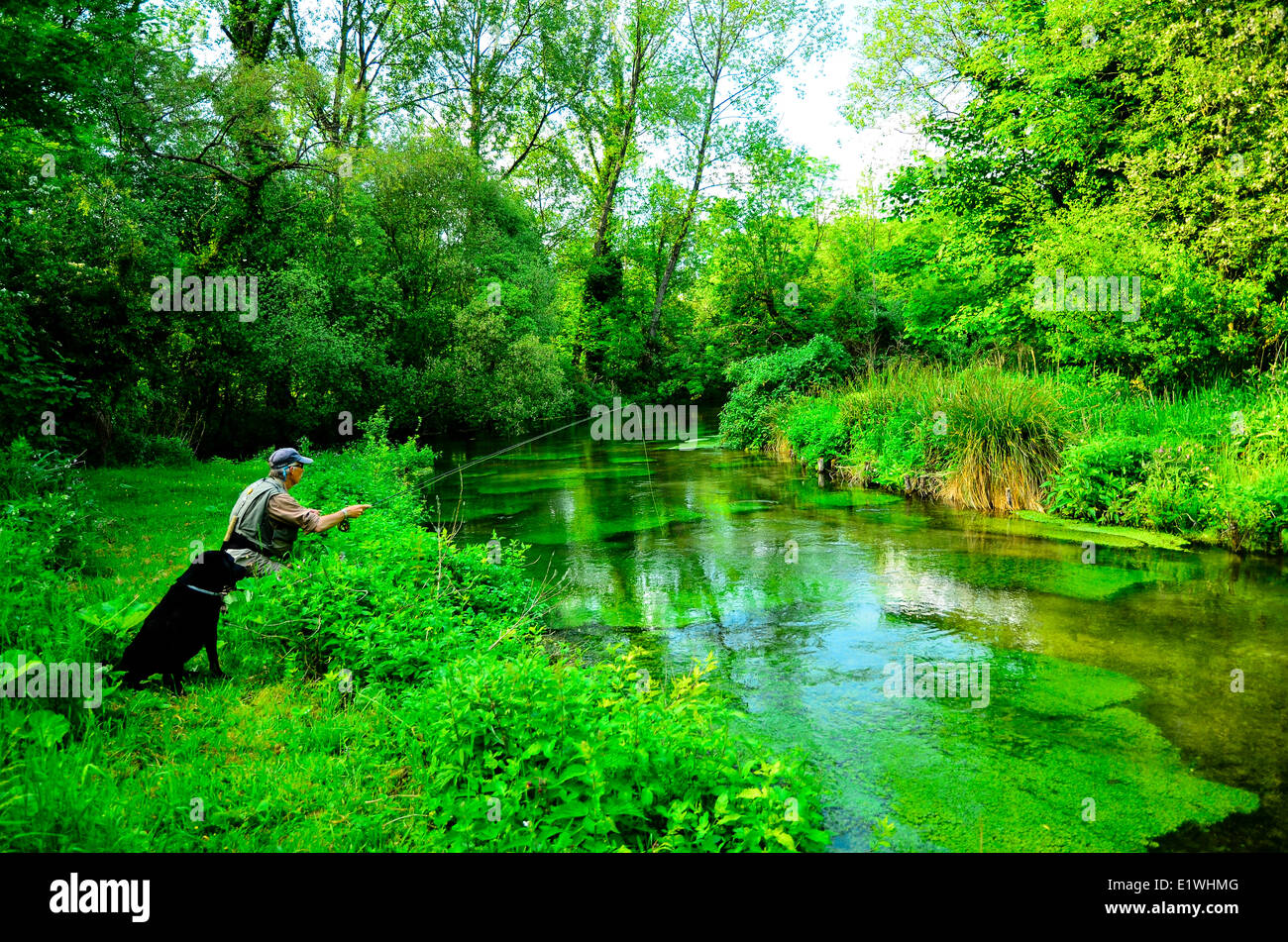 Itchen river hi-res stock photography and images - Alamy
