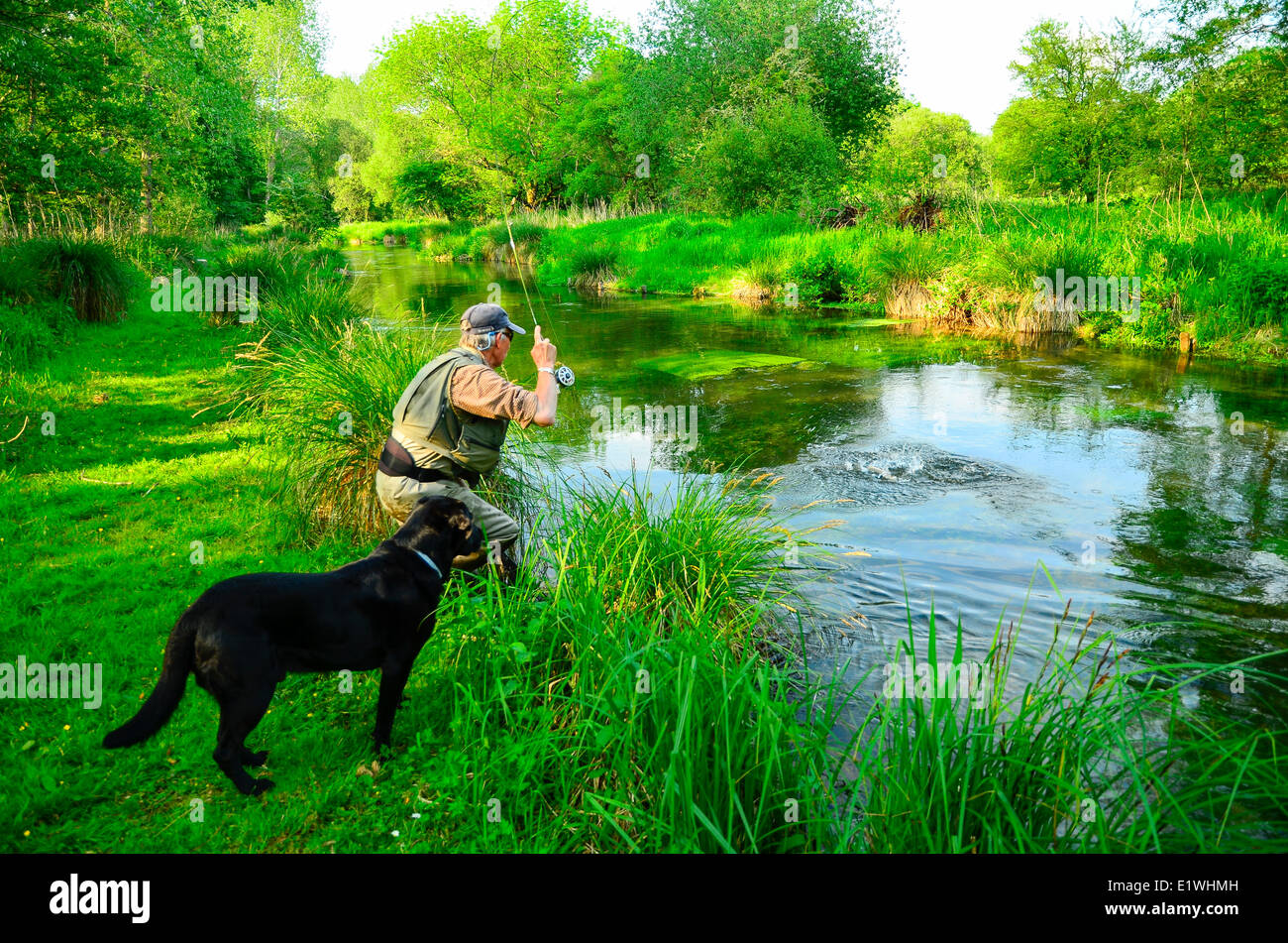 Itchen River Chalkstream England Stock Photo - Alamy