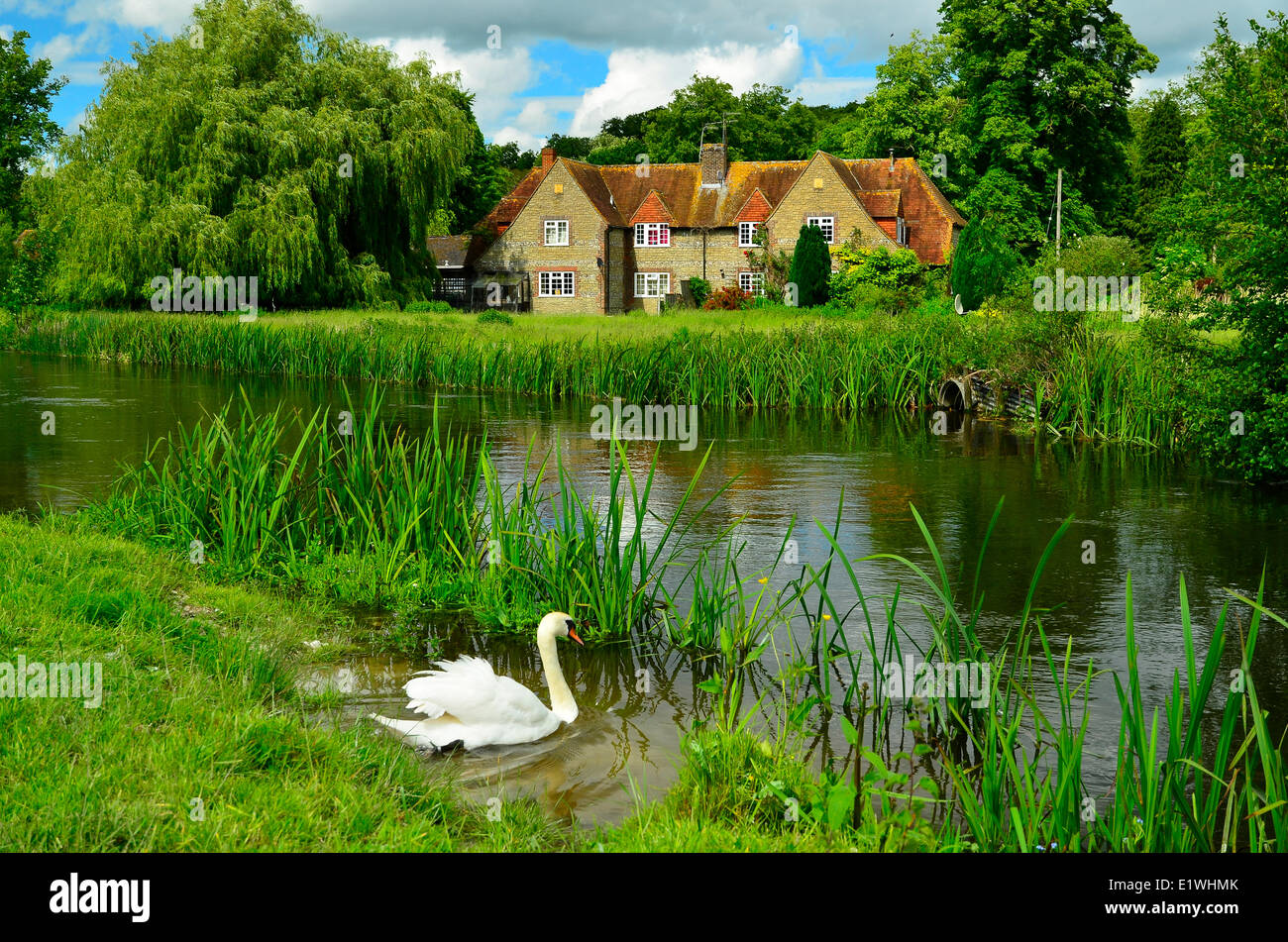 The rivers of england and its wildlife hi-res stock photography and ...
