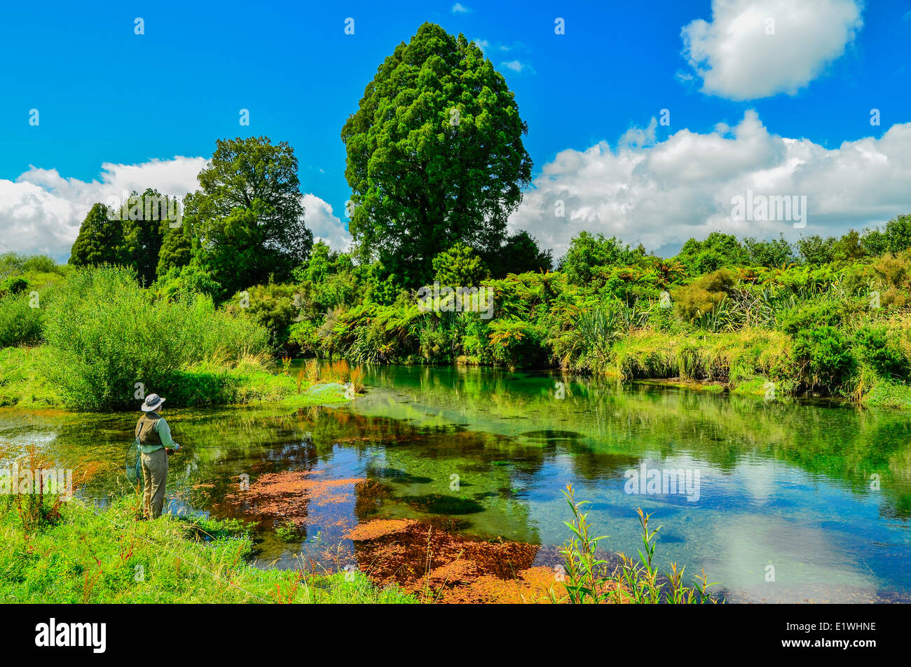 South Island Spring Creek New Zealand Stock Photo - Alamy