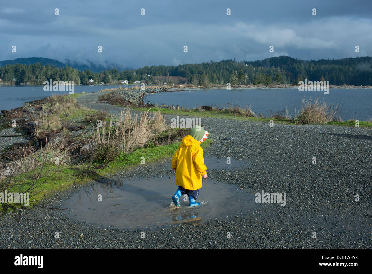 Beach puddle hi-res stock photography and images - Alamy