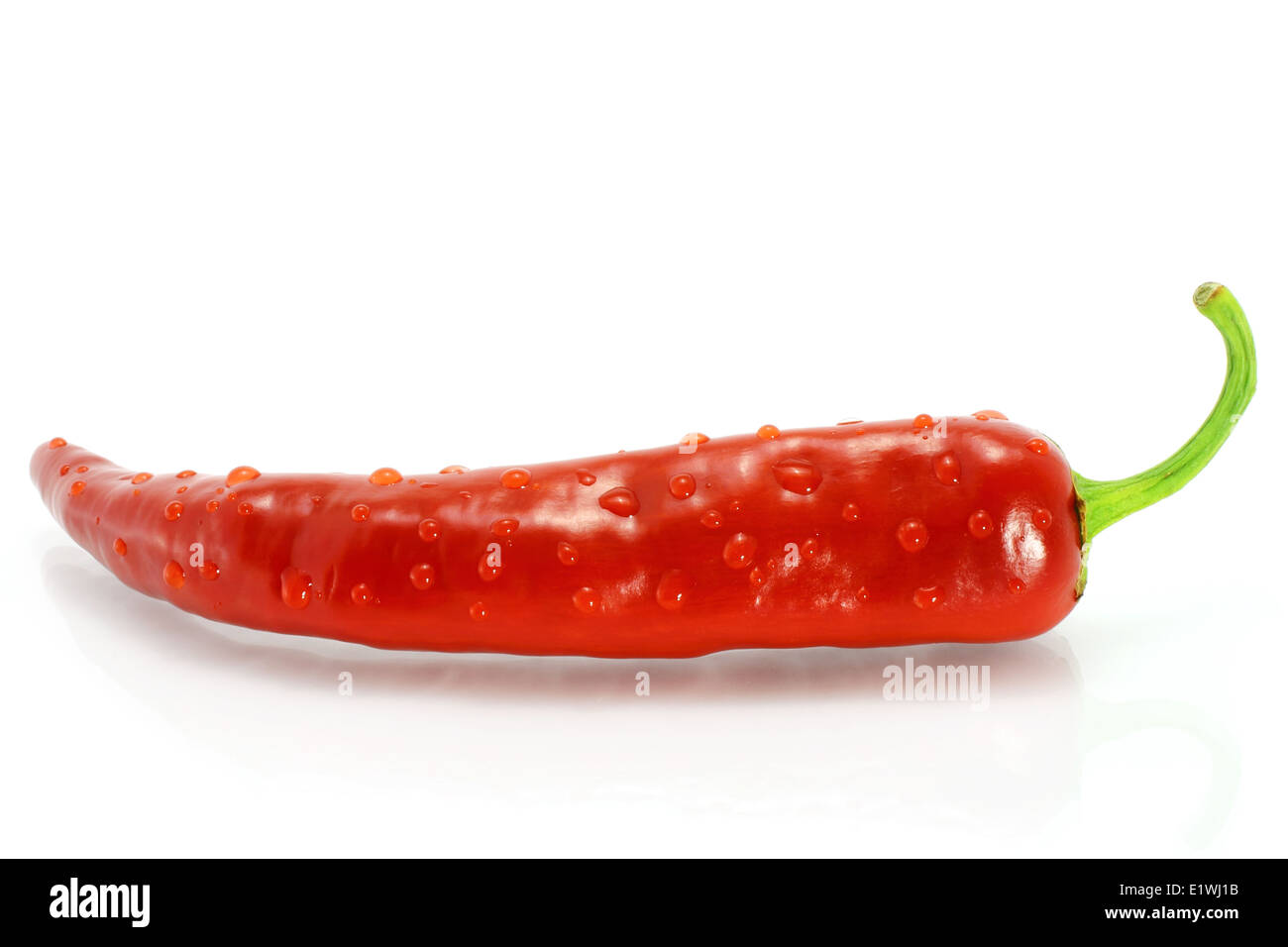 Single red hot chili pepper with drops on a white background Stock ...