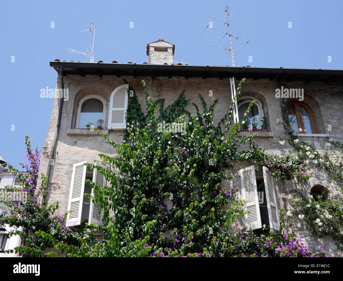 Climbing plants house hi-res stock photography and images - Alamy