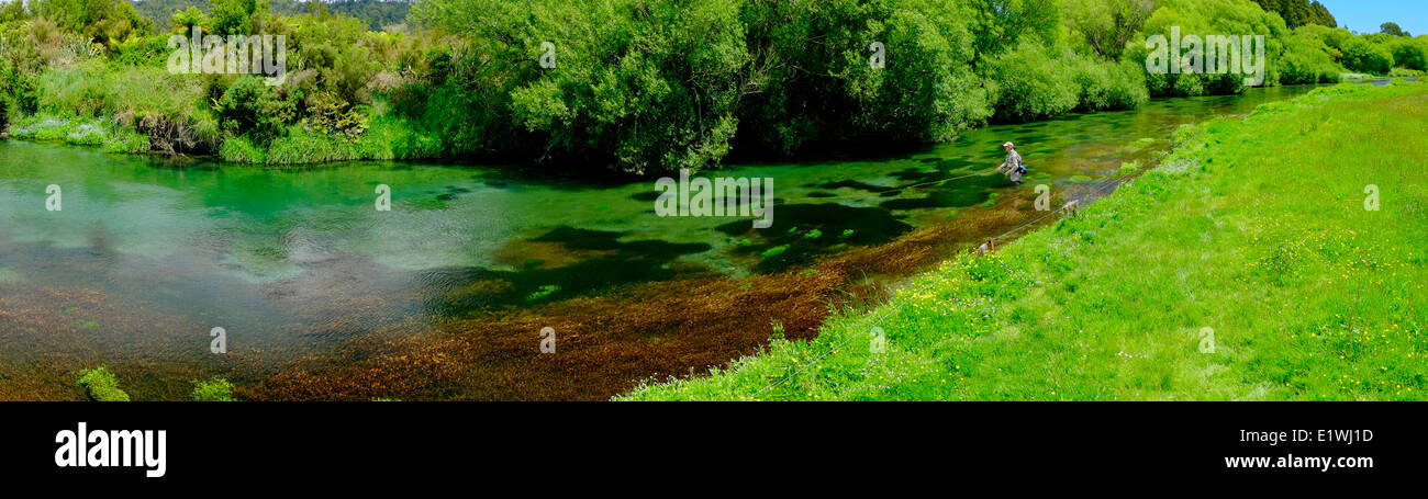 Spring creek hi-res stock photography and images - Alamy