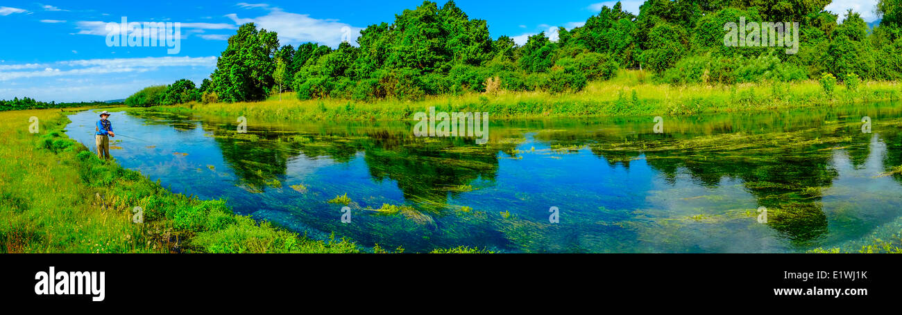 South Island Spring Creek New Zealand Stock Photo - Alamy