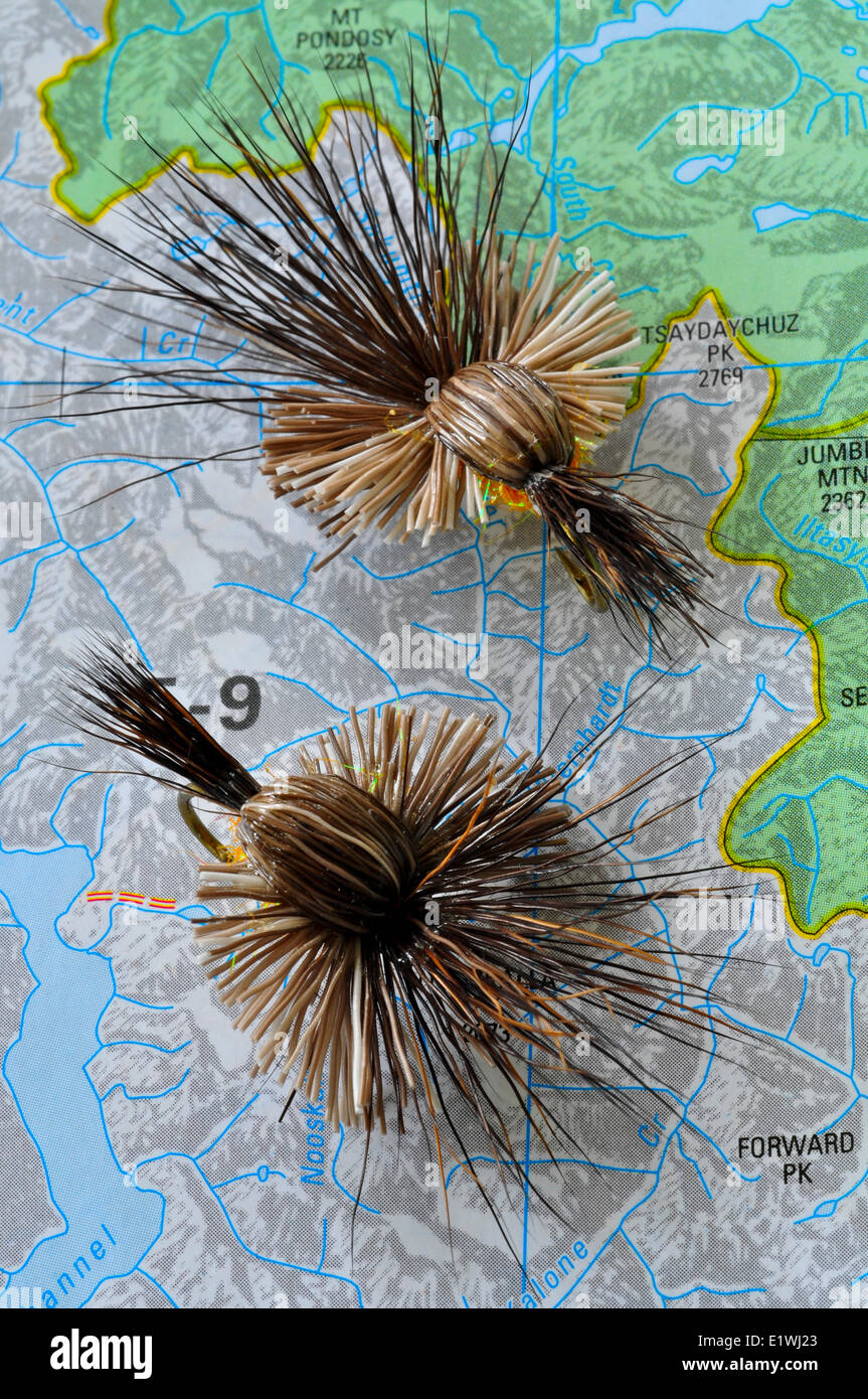 Moose hair skater hi-res stock photography and images - Alamy