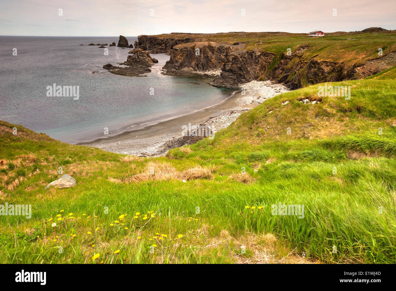 Bonavista newfoundland hi-res stock photography and images - Alamy