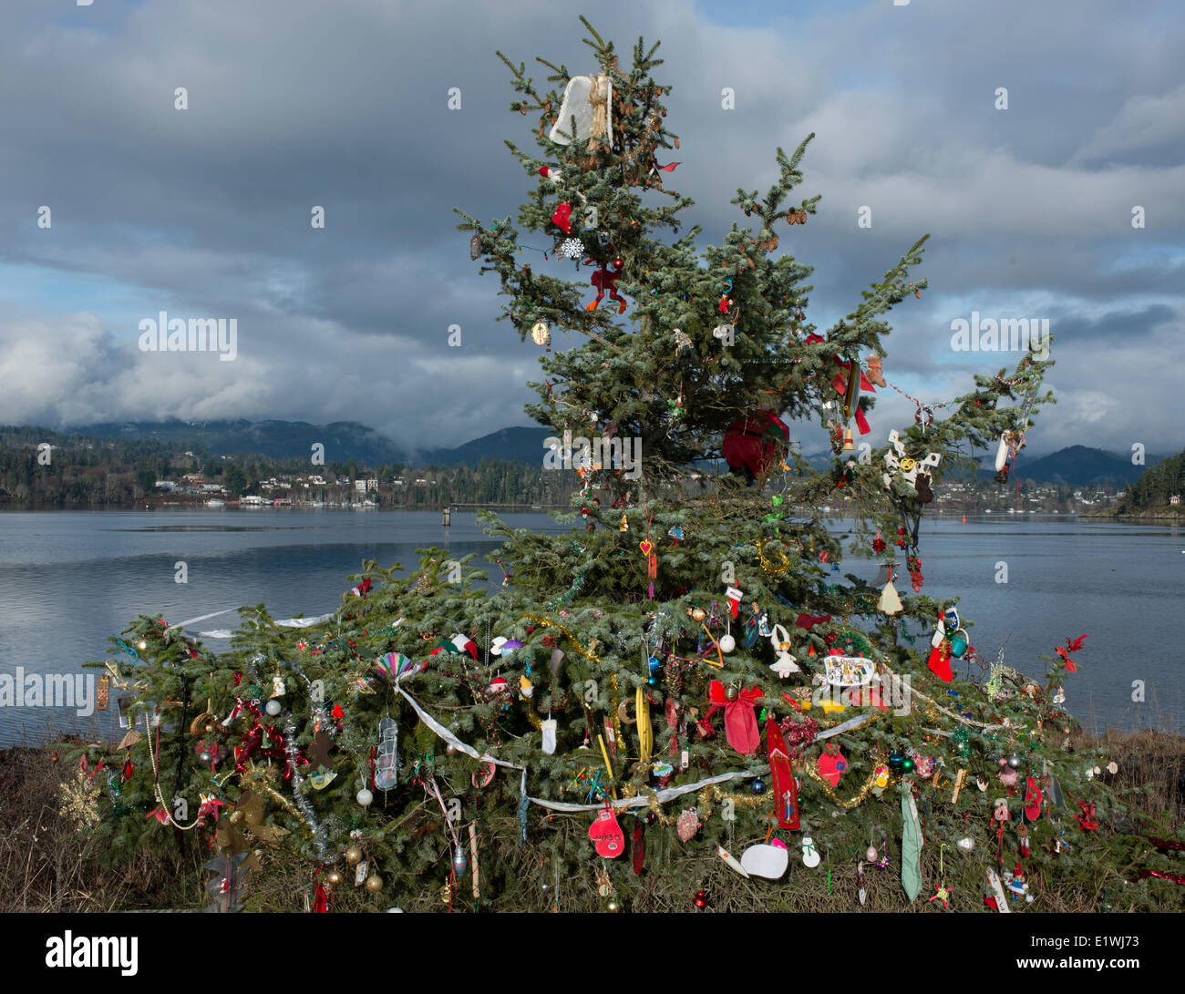House decorated trees plants hi-res stock photography and images - Alamy