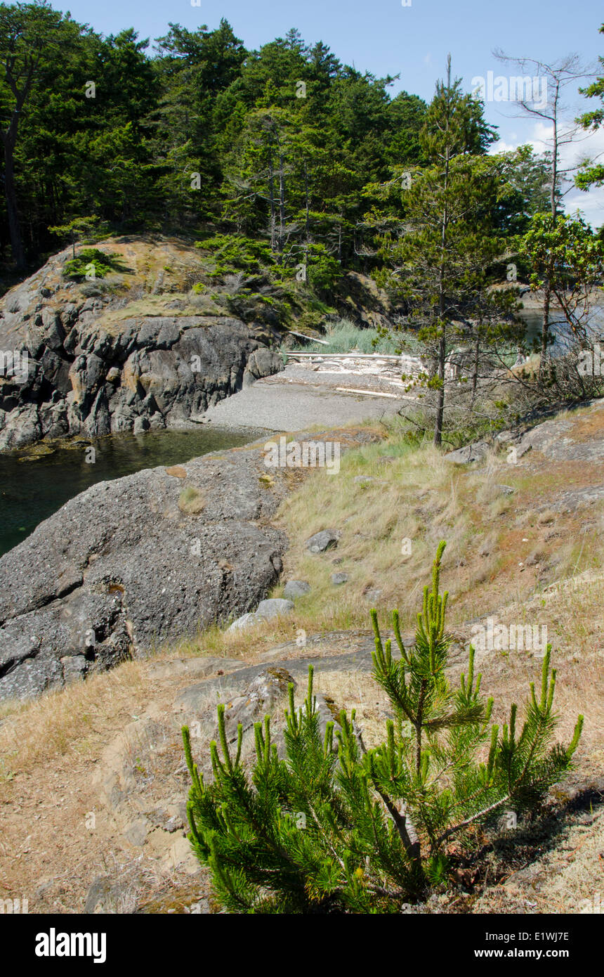 Isle-De-Lis Marine Park, located on Rum Island, off Sidney at the east ...