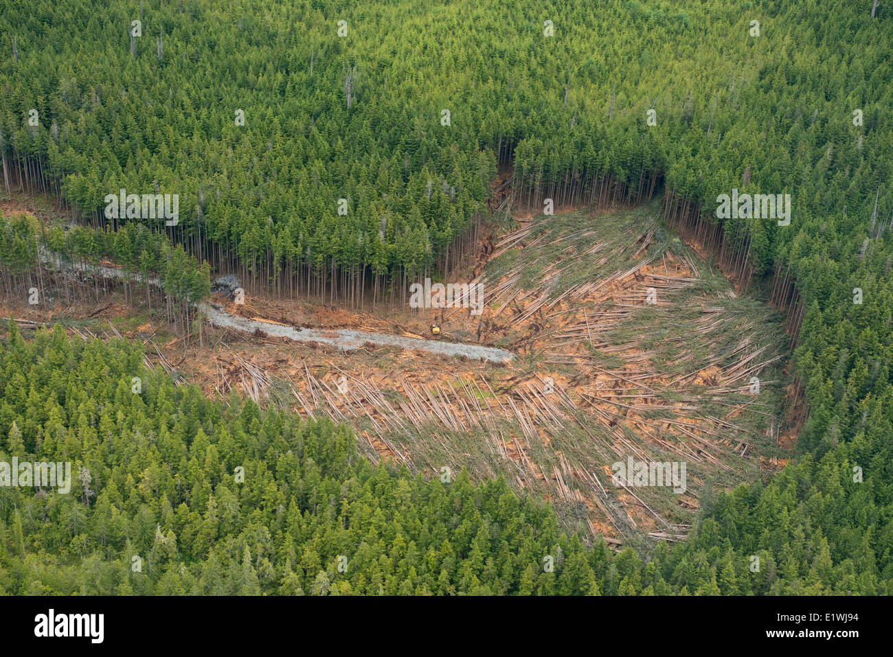 Clear Cut Logging High Resolution Stock Photography and Images - Alamy