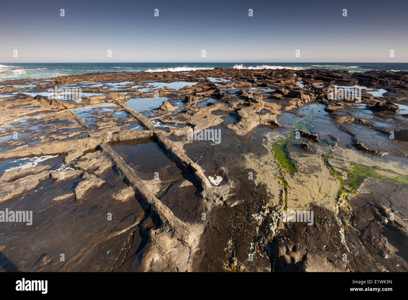 Curio bay cliffs hi-res stock photography and images - Alamy
