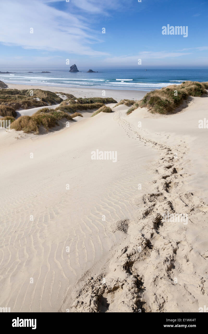 Sandfly bay hi-res stock photography and images - Alamy