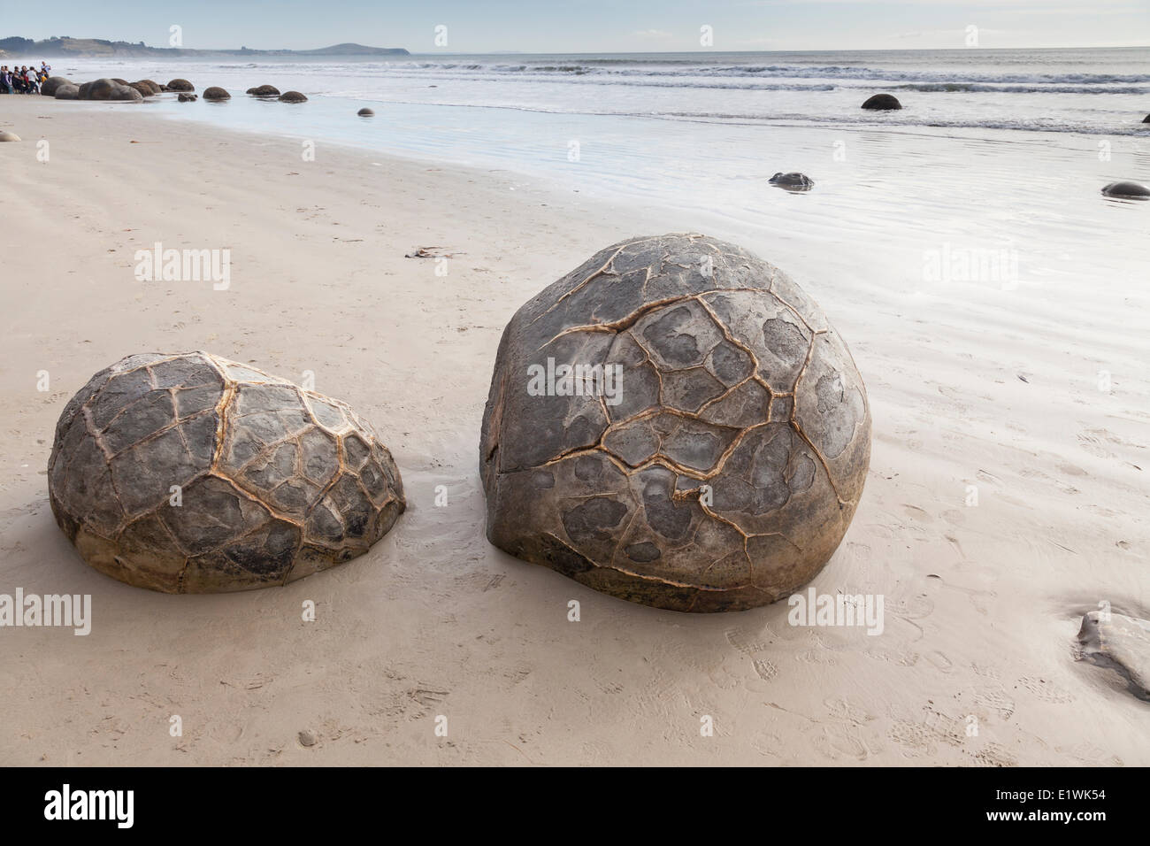 New Zealand The Spherical Stones Are Concretions High Resolution Stock ...