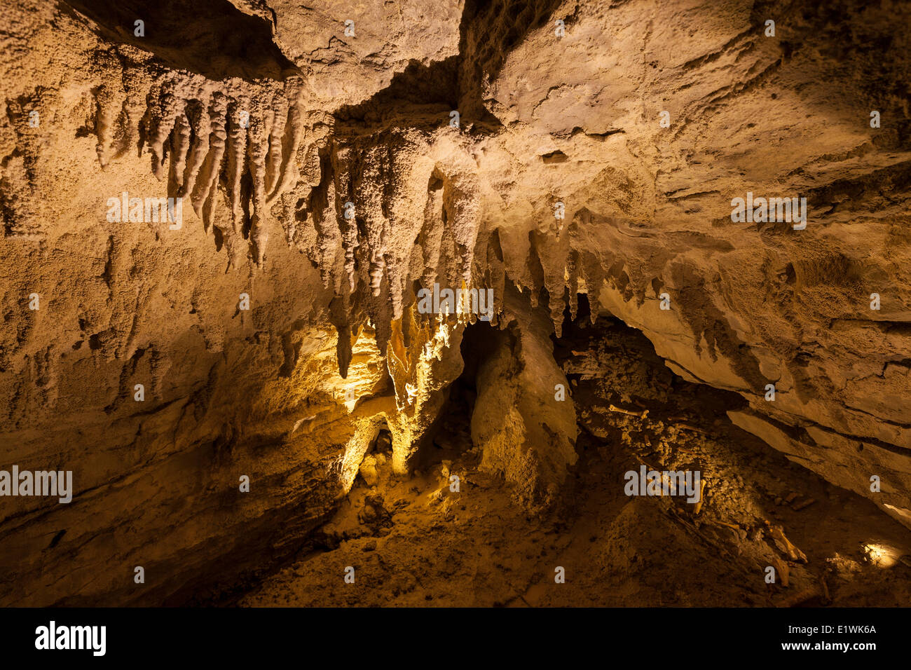 Waitomo cave waitomo cave hi-res stock photography and images - Alamy