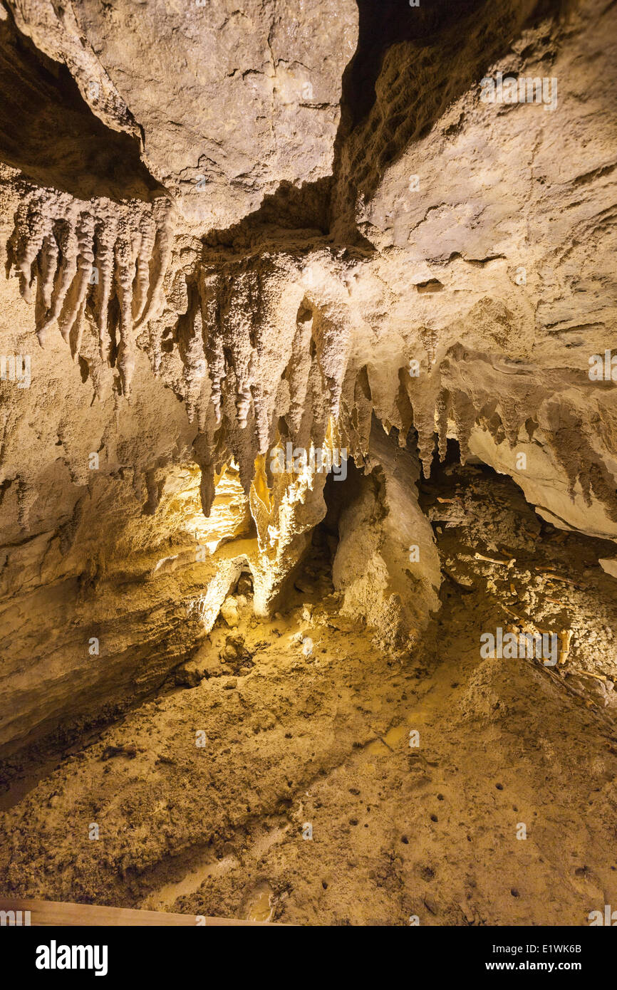 Waitomo cave waitomo cave hi-res stock photography and images - Alamy