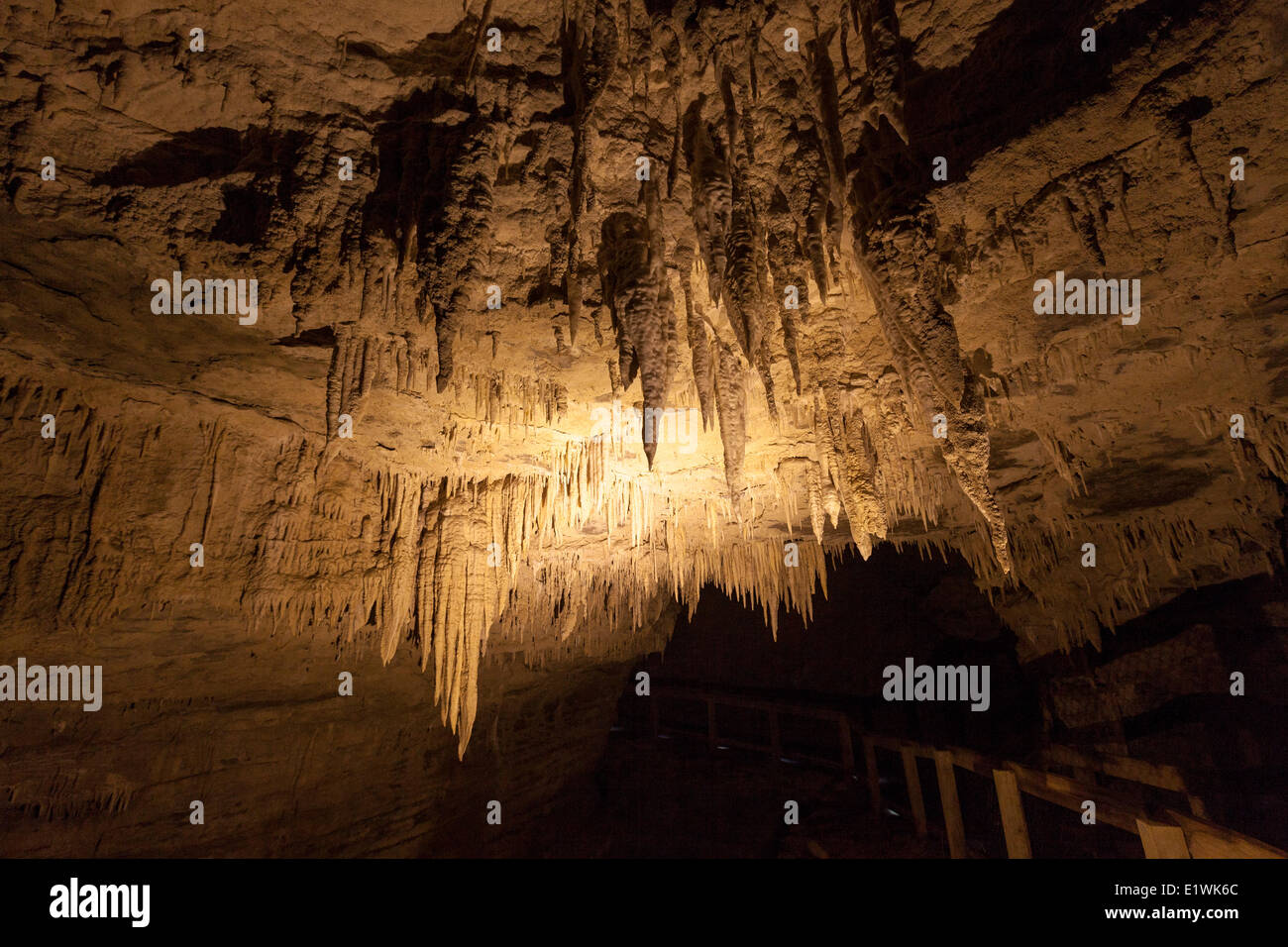 Waitomo cave waitomo cave hi-res stock photography and images - Alamy