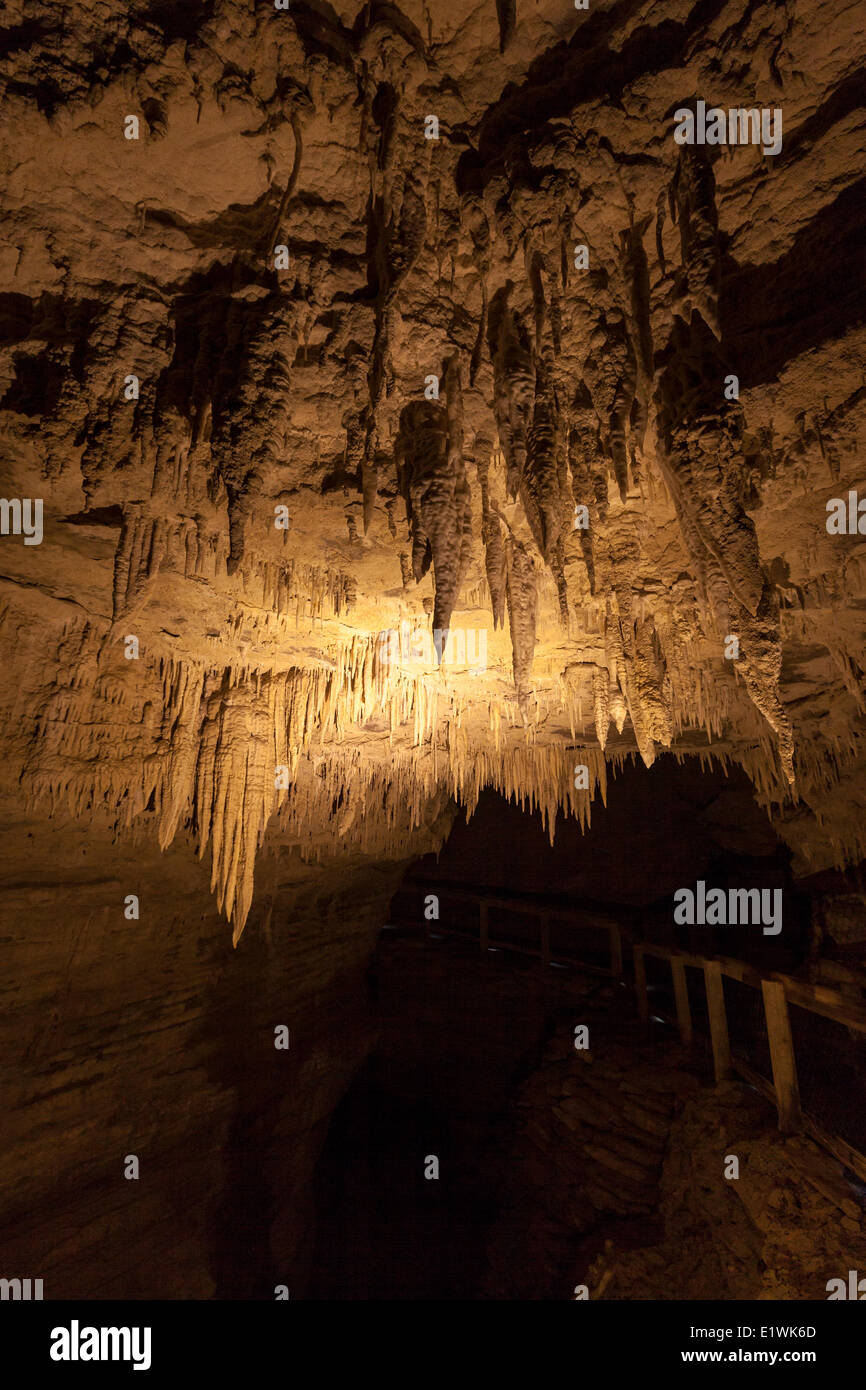 Waitomo cave waitomo cave hi-res stock photography and images - Alamy