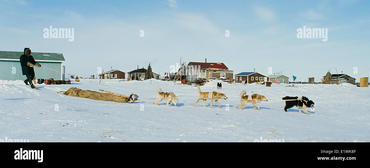 Native American Indian Animal High Resolution Stock Photography and ...