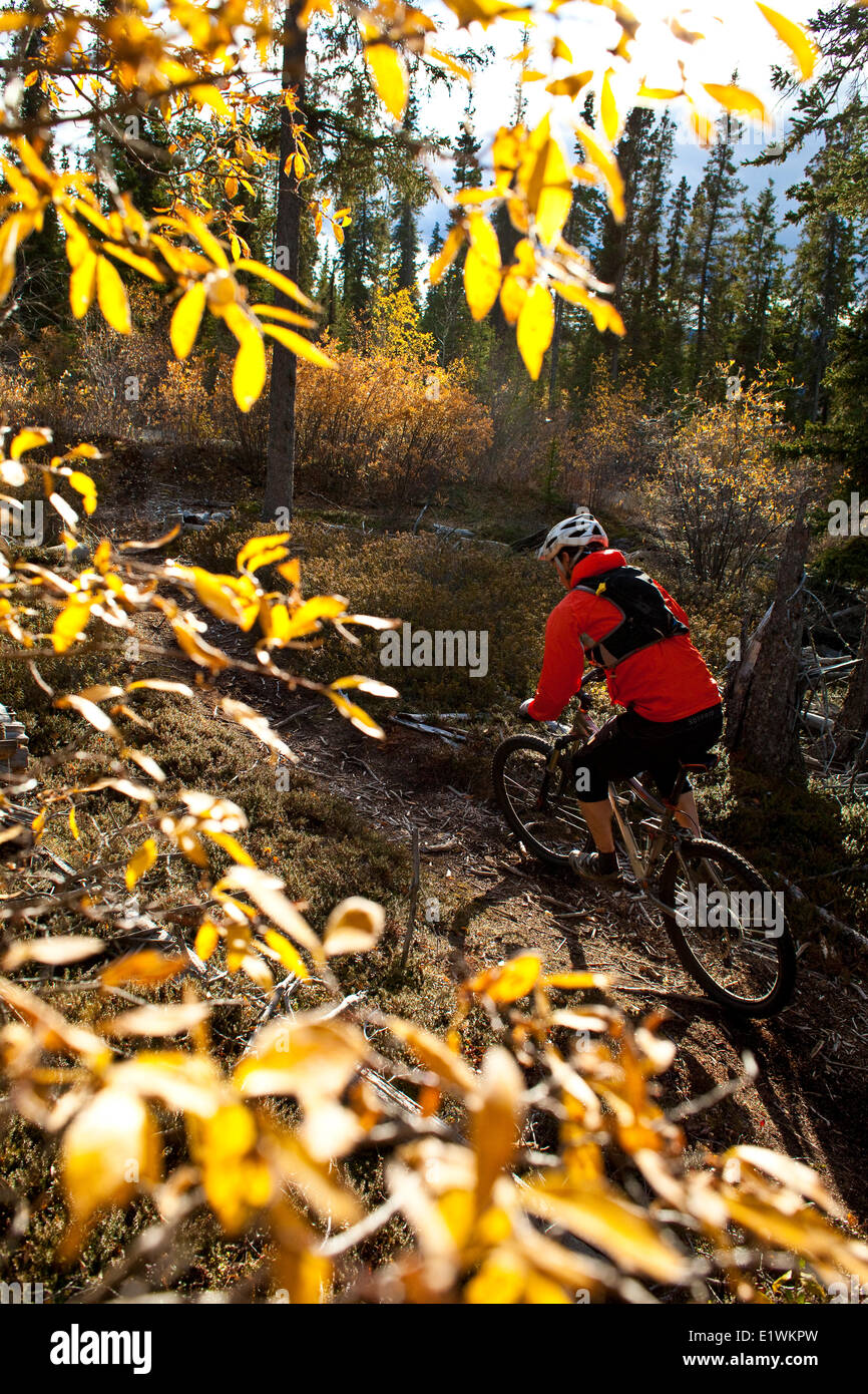A male mountain biker enjoying perfect fall weather and singletrack in ...