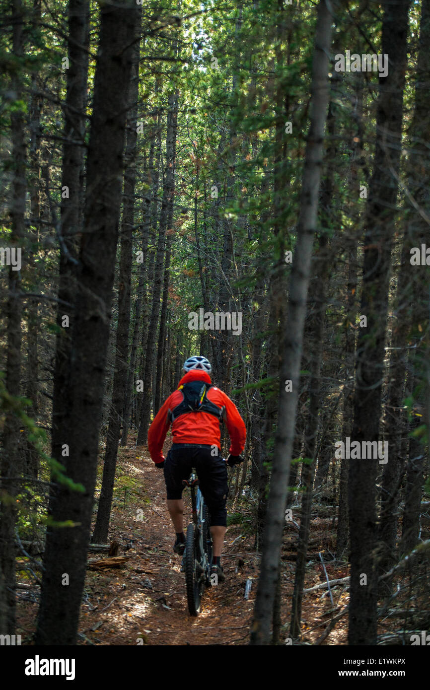 A male mountain biker enjoying perfect fall weather and singletrack in ...