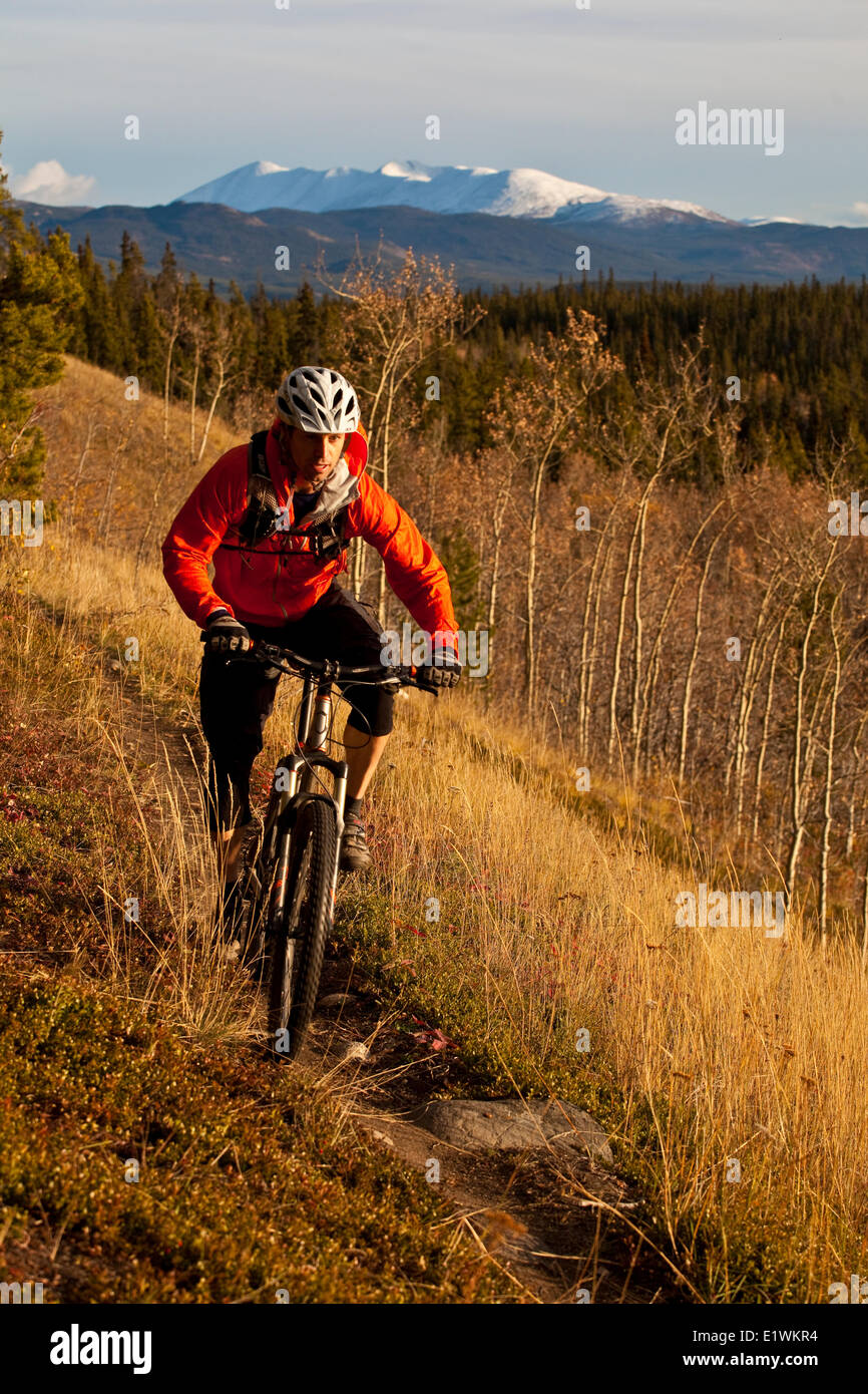 A male mountain biker enjoying perfect fall weather and singletrack in ...