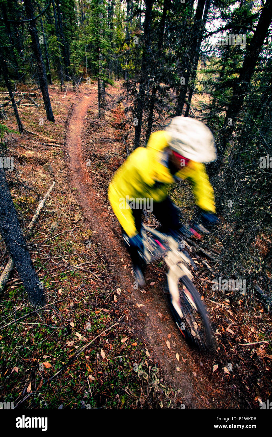 A male mountain biker enjoying perfect fall weather and singletrack in ...
