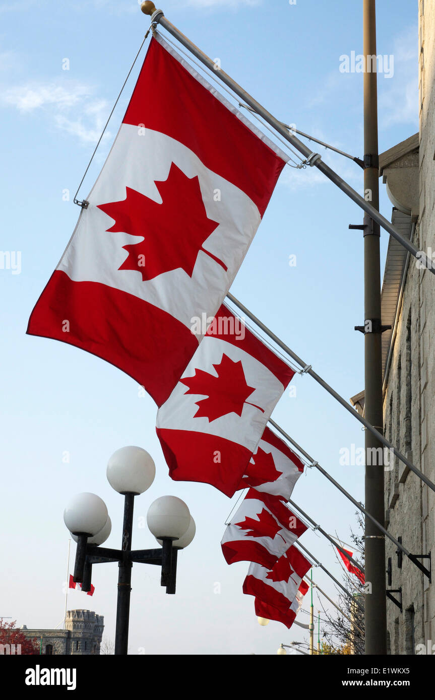 Canadian flags line Sussex Dr. across from Nat'l Art Gallery, Ottawa, Ontario, Canada Stock ...
