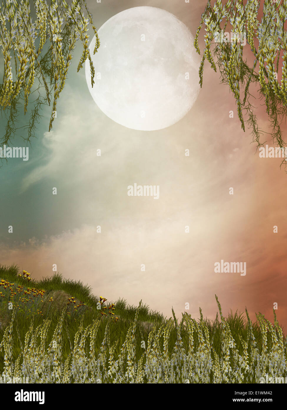 Magic landscape moon with flowers and field Stock Photo - Alamy