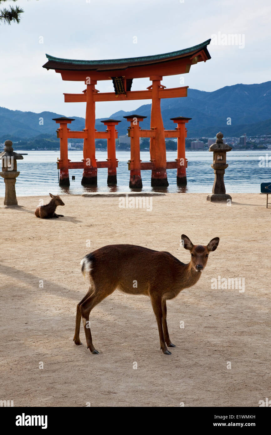 Stone torii gates hi-res stock photography and images - Alamy