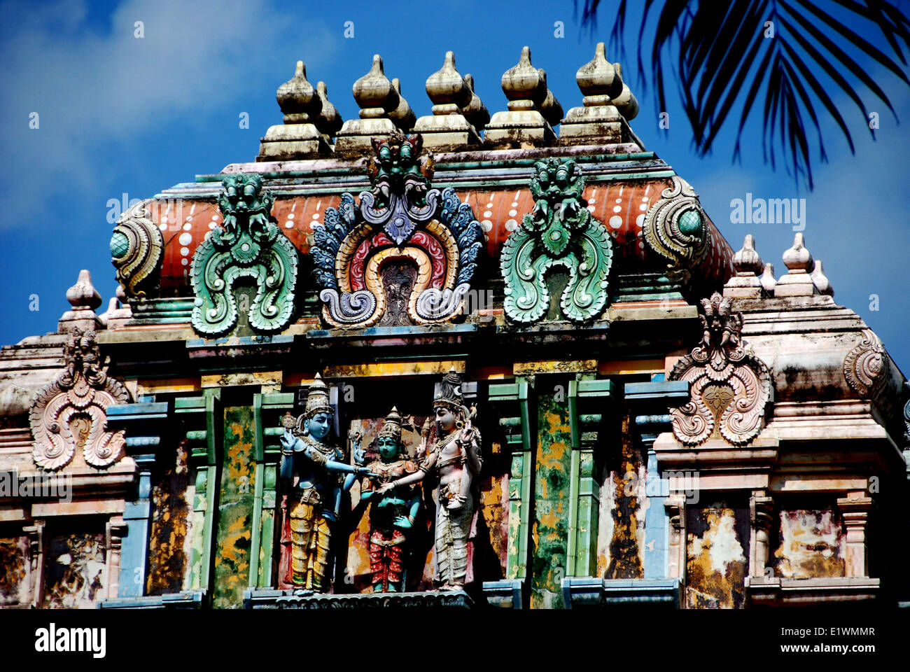 Amalaka hi-res stock photography and images - Alamy