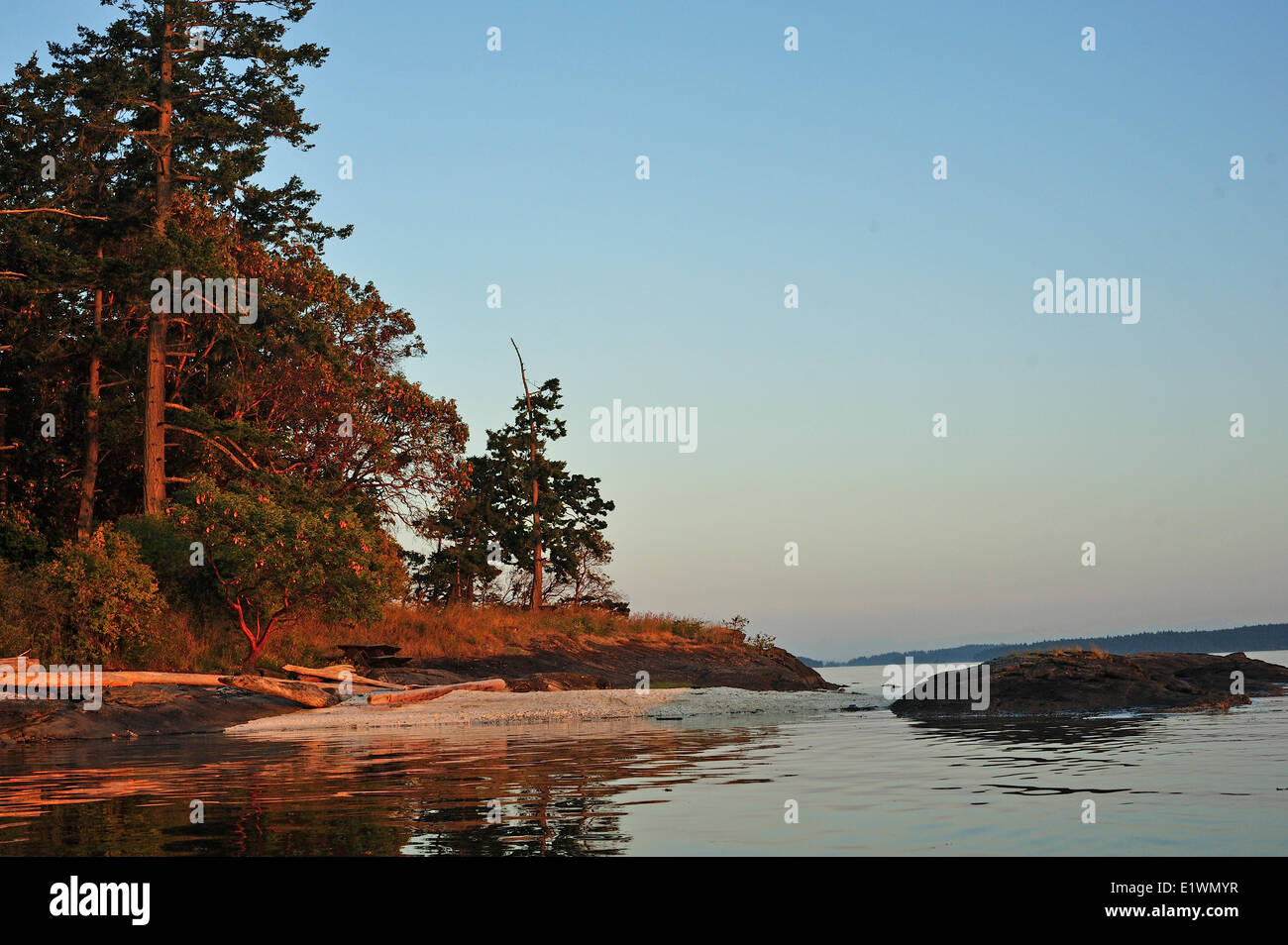 shell (midden) beach, Russell Island, Gulf Islands, British Columbia ...