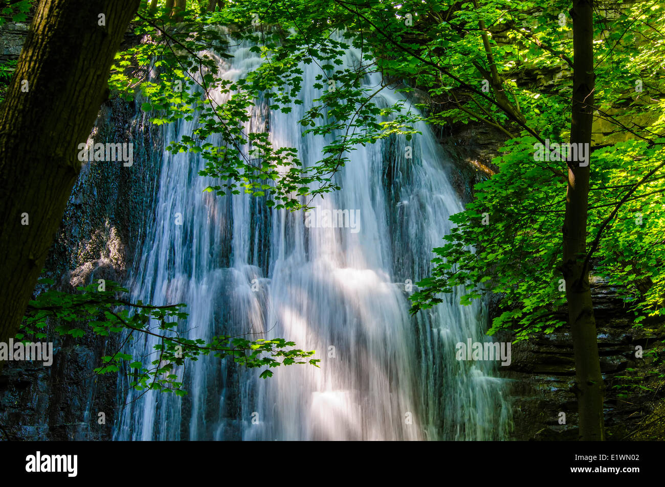 Tiffany Falls, a cascade type falls, Ancaster, Ontario, Canada Stock ...