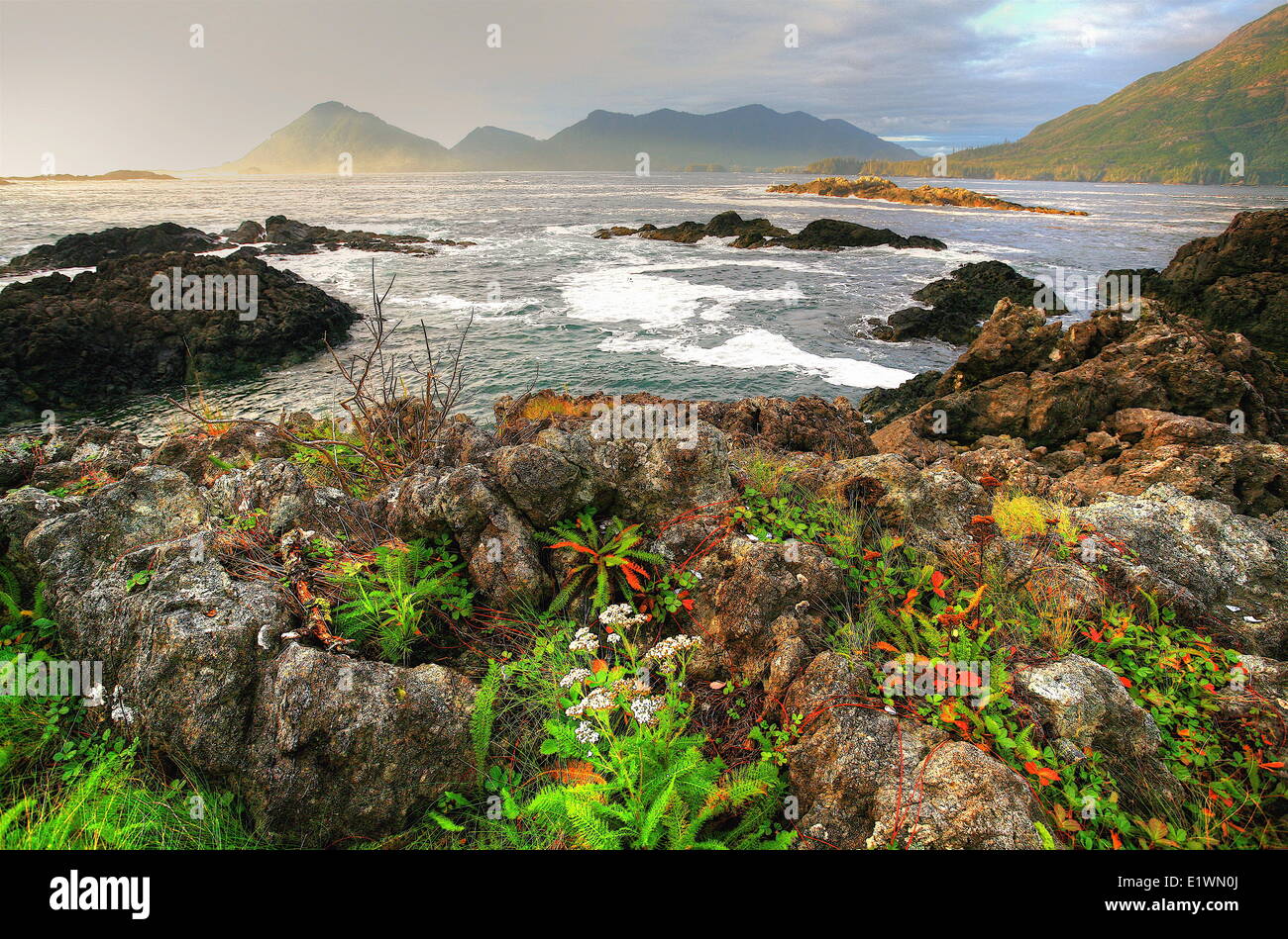 Giesbrecht hi-res stock photography and images - Alamy