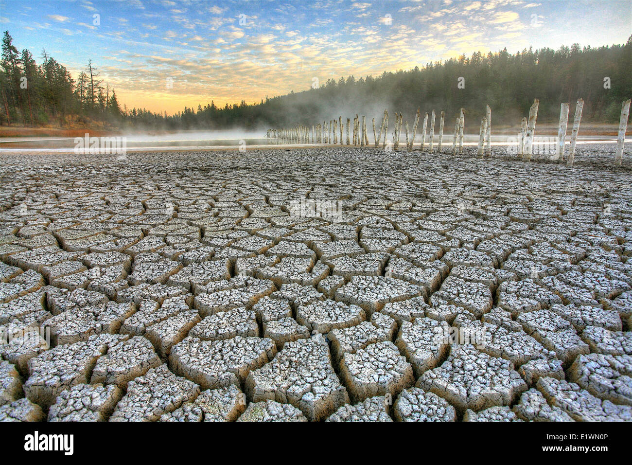 Bugna swamp hi-res stock photography and images - Alamy