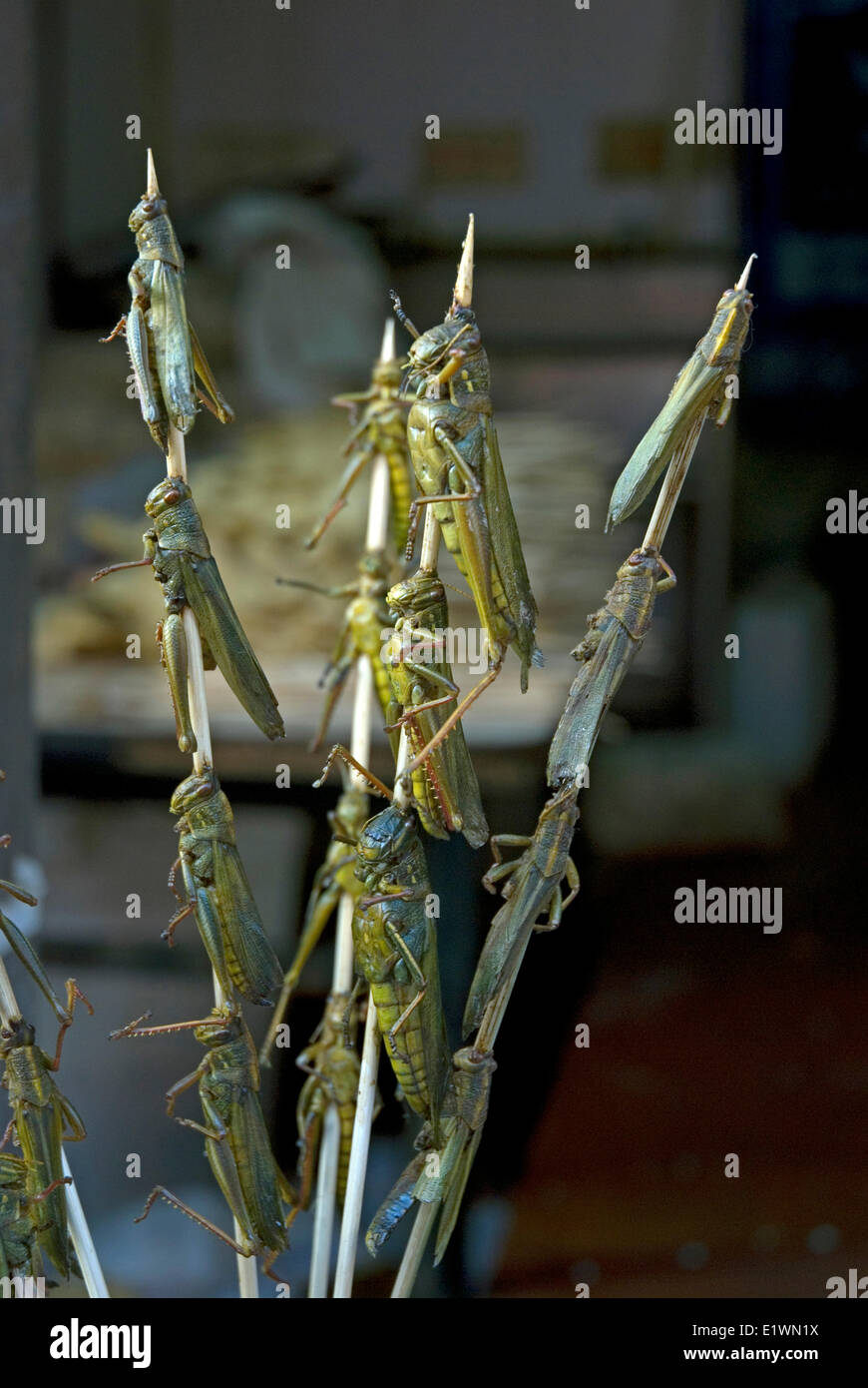 Edible grasshoppers for sale at a street market in Wangfujing area ...