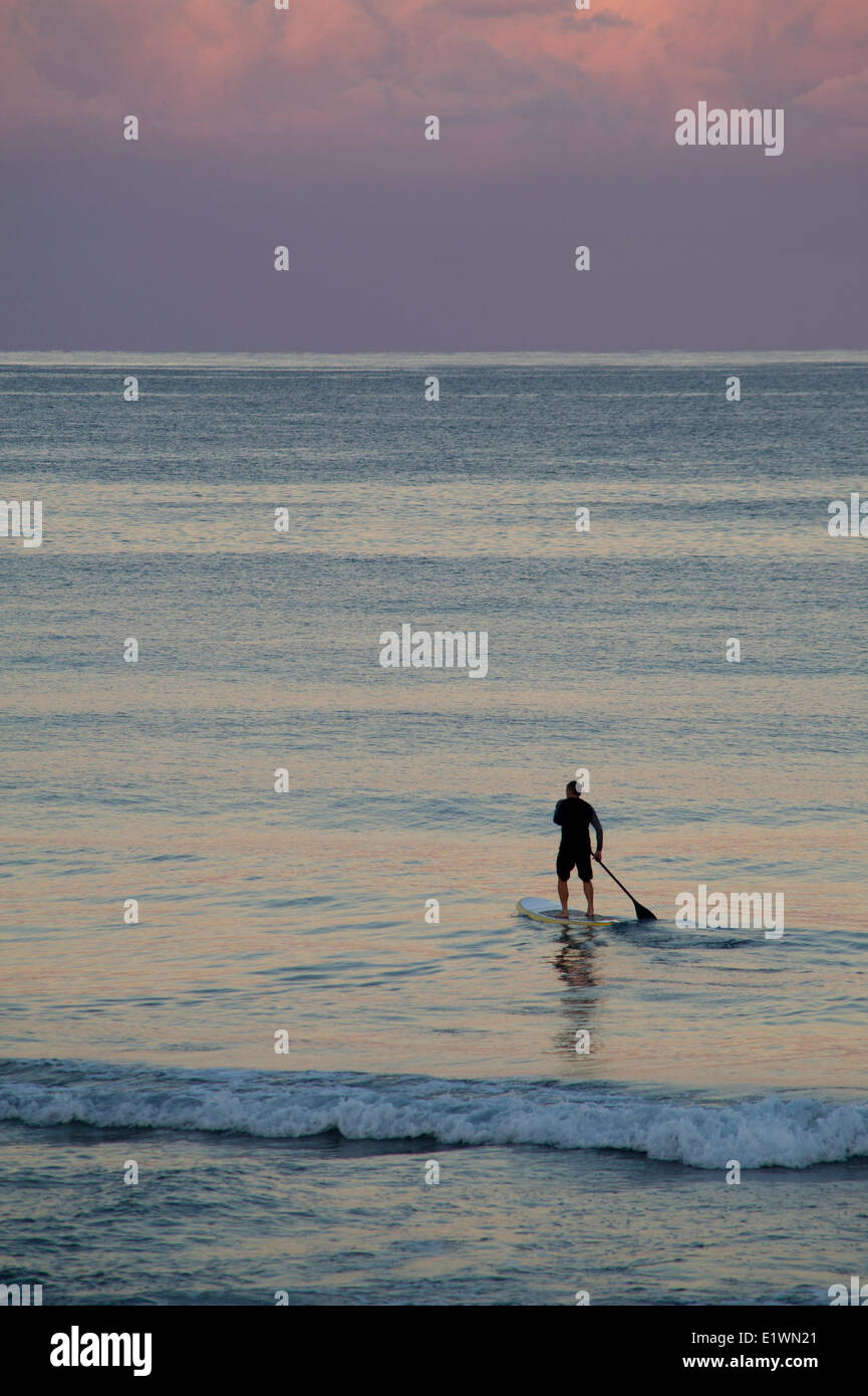 Paddle Board Surfers High Resolution Stock Photography and Images - Alamy