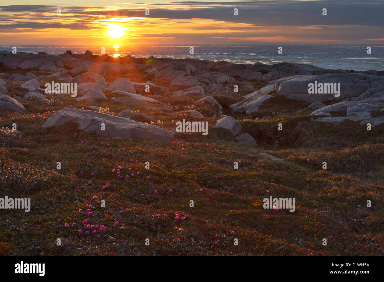 Scenic image of Churchill, Manitoba, Canada Stock Photo - Alamy