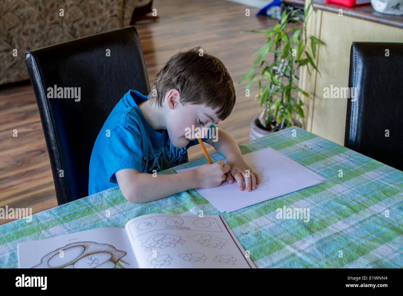 Young boy, tracing and coloring. Cranbrook, British Columbia, Canada ...
