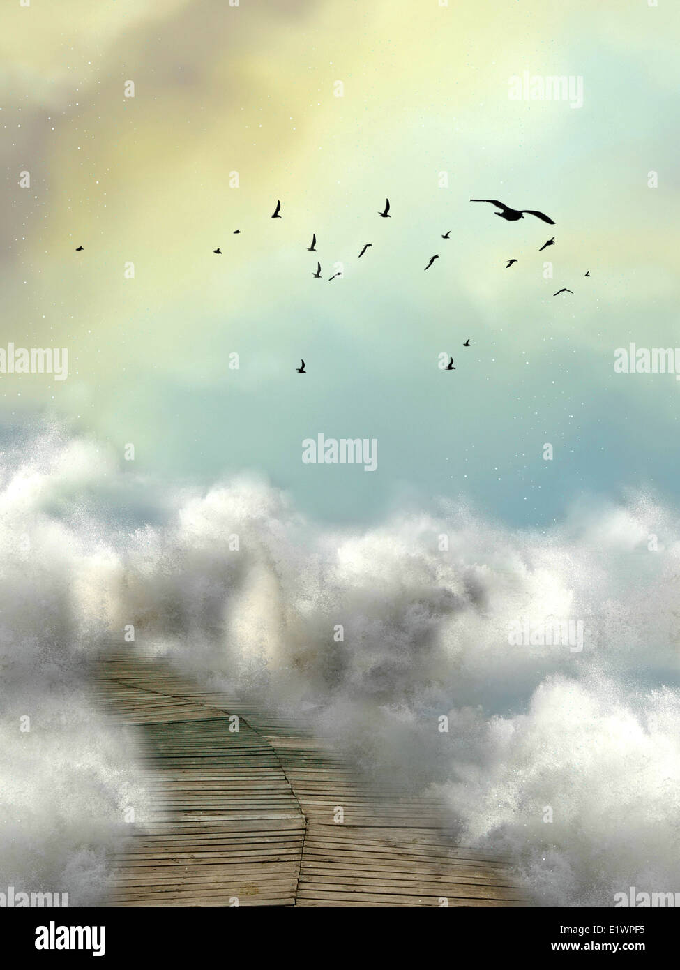 Fantasy birds hi-res stock photography and images - Alamy