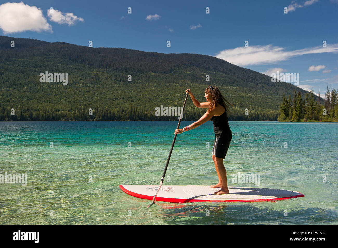 Paddle Boarder High Resolution Stock Photography and Images - Alamy