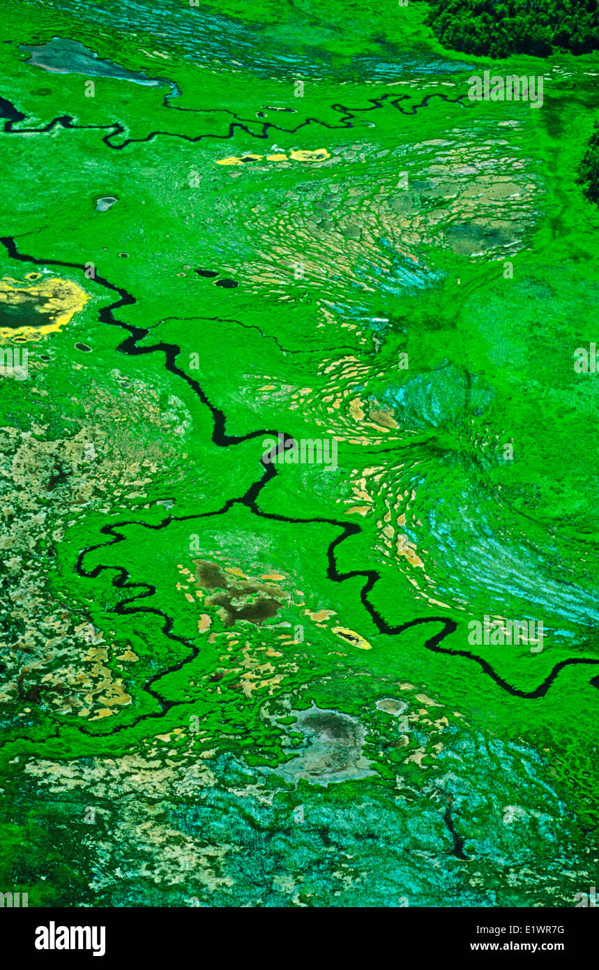 Aerial of Muskeg, Northern Ontario, Canada Stock Photo - Alamy