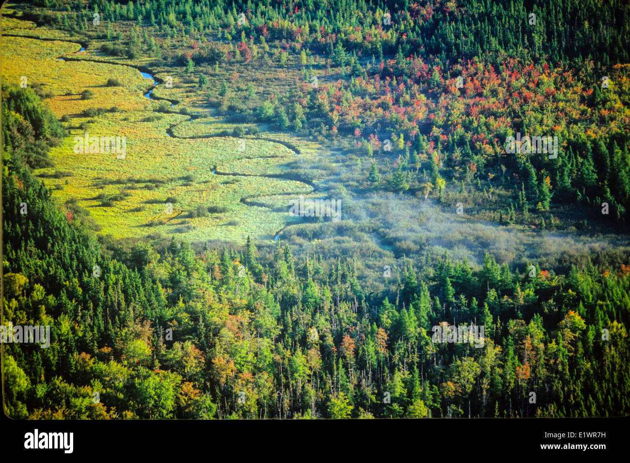 Aerial of Baltic Bog, Prince Edward Island, Canada Stock Photo - Alamy